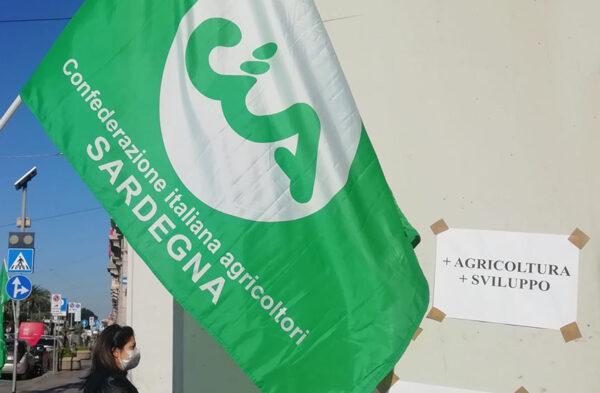 Ritardi nei pagamenti domande Pac, Cia Sardegna: «Situazione ...